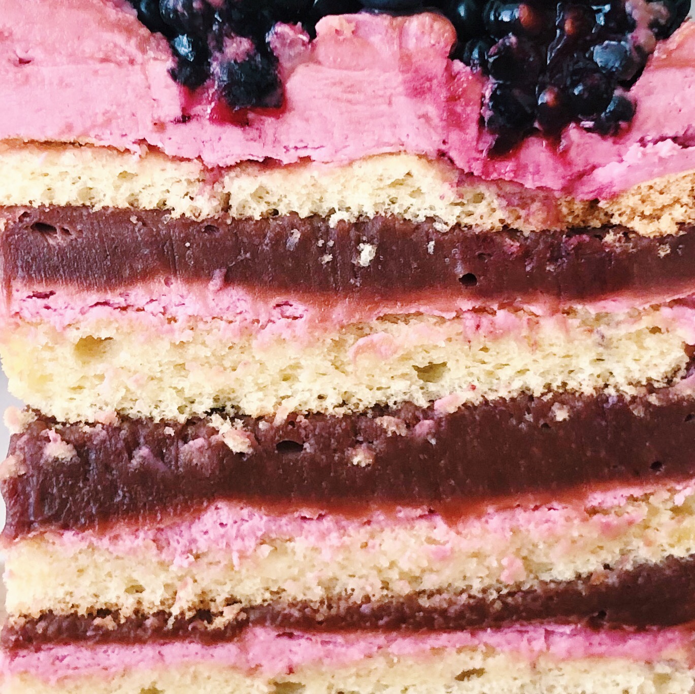 Mixed Berry Opera cake – Freddy's Harajuku