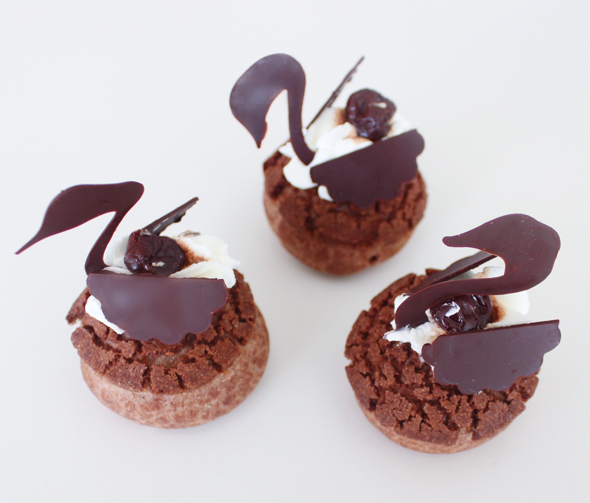 Black forest swan puffs – Freddy's Harajuku