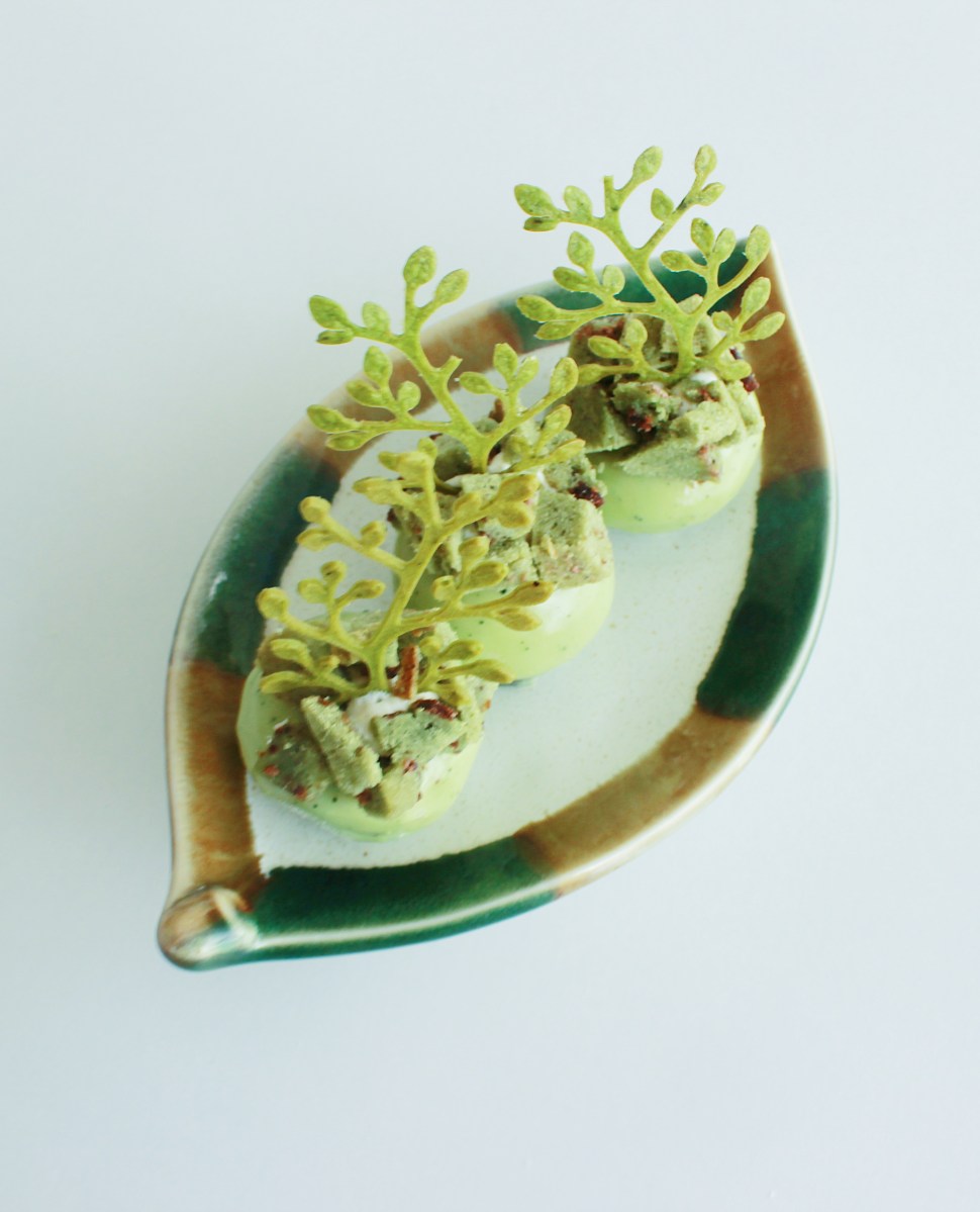 Matcha Kokedama(Moss Balls) – Freddy's Harajuku