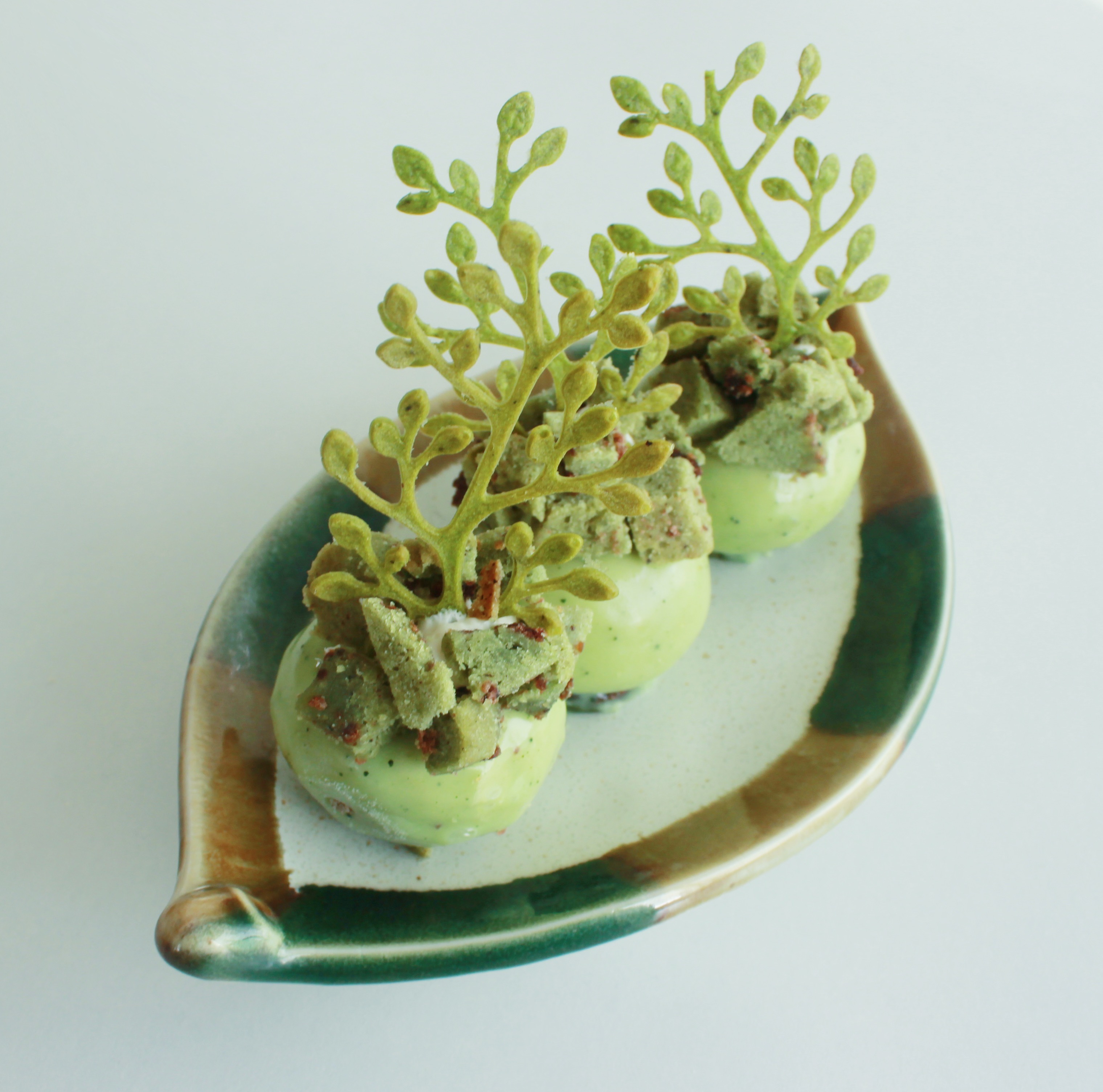 Matcha Kokedama(Moss Balls) – Freddy's Harajuku