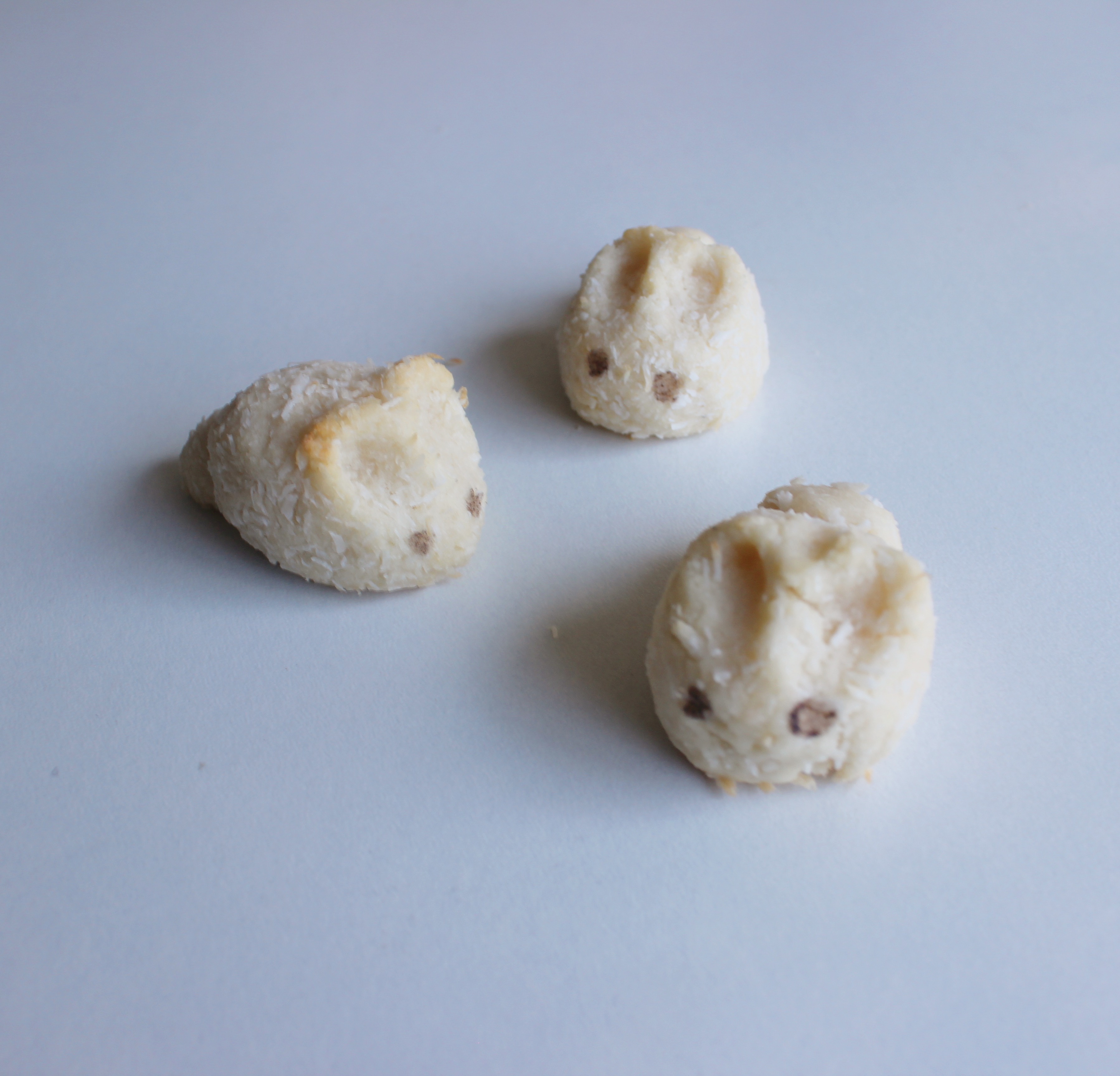 Coconut Bunny Cookies – Freddy's Harajuku