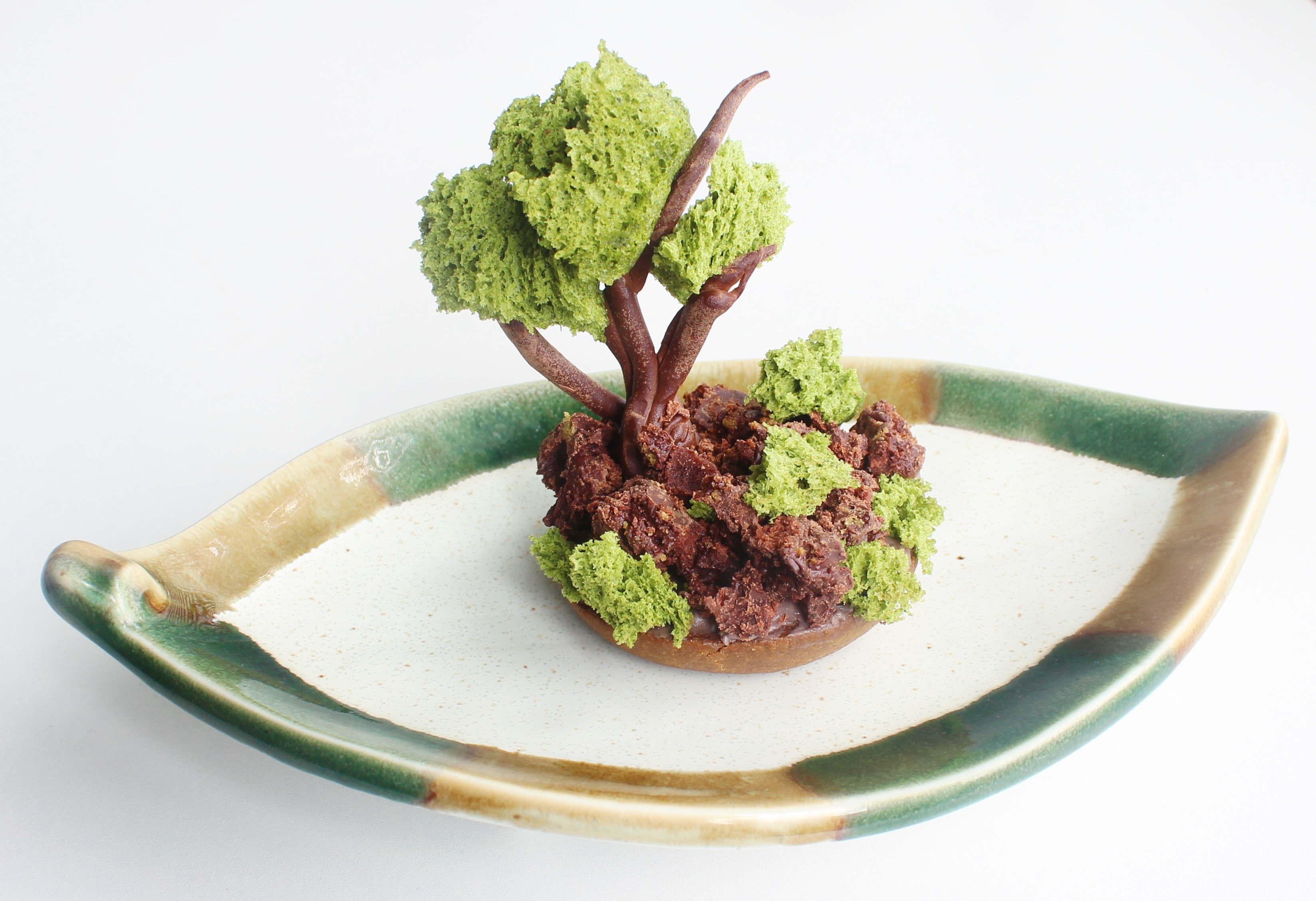 Matcha-Chocolate Bonsai Tartlet – Freddy's Harajuku
