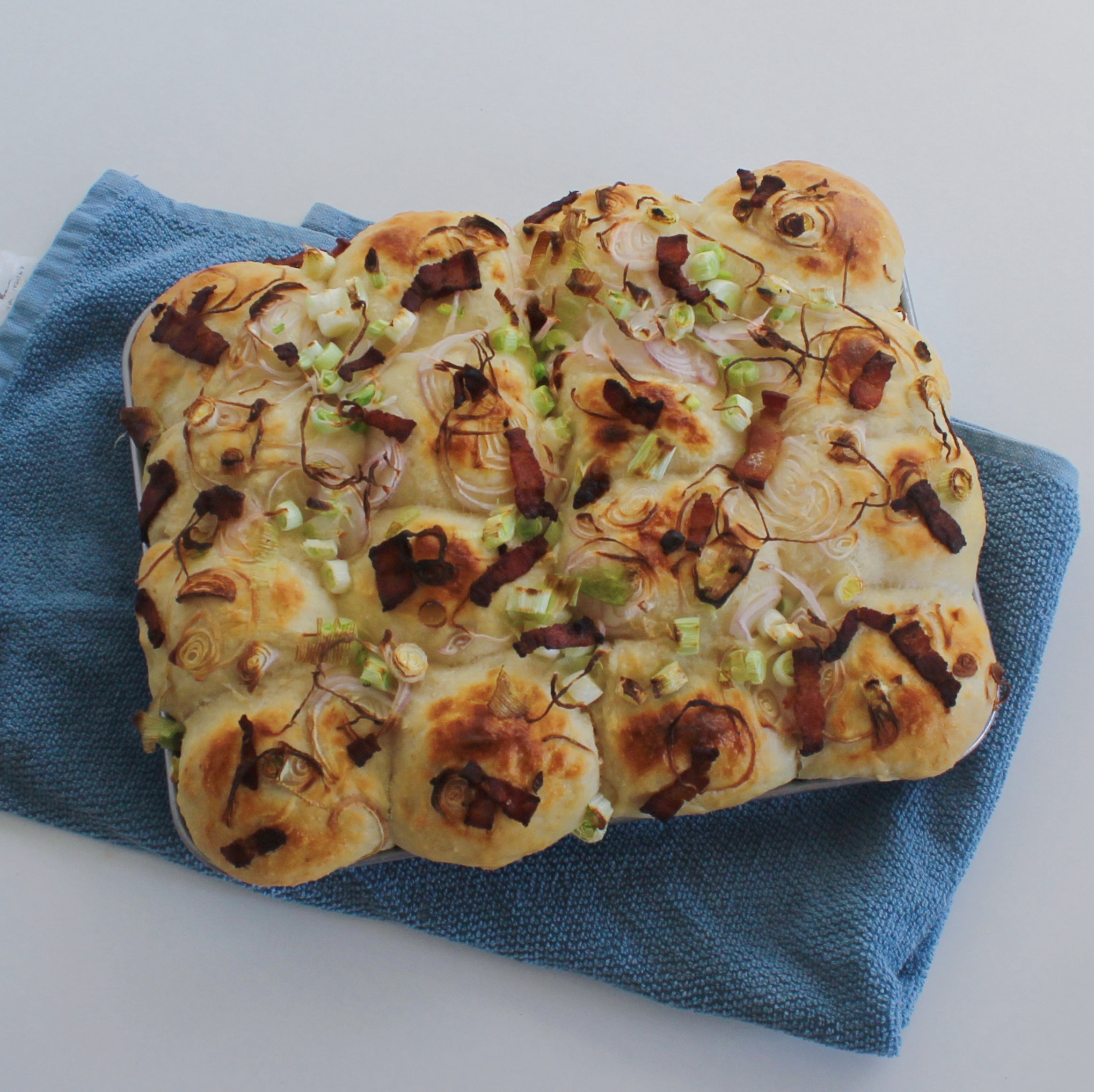 Pierogi Bread Rolls – Freddy's Harajuku